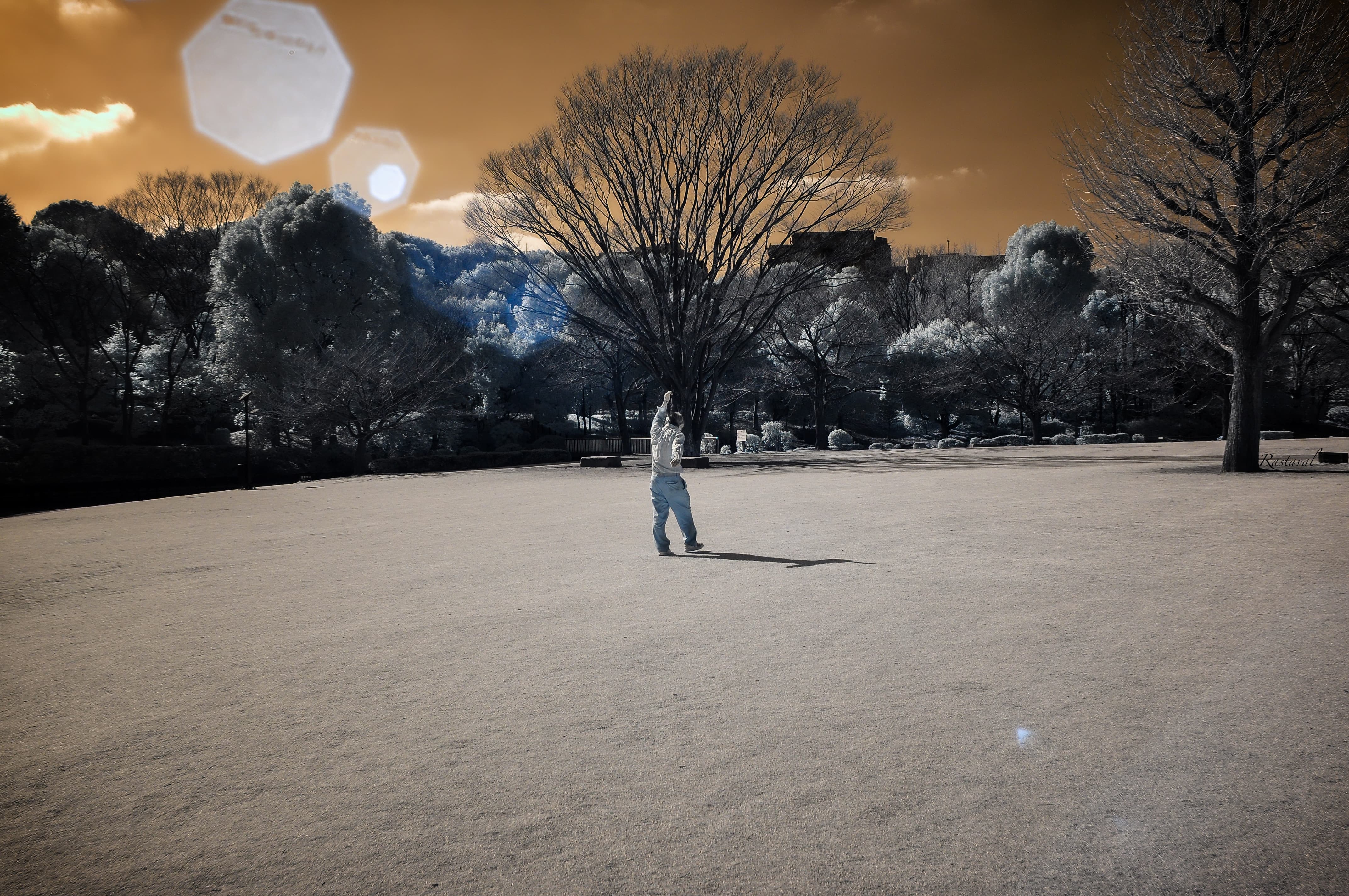 Infrared Photography