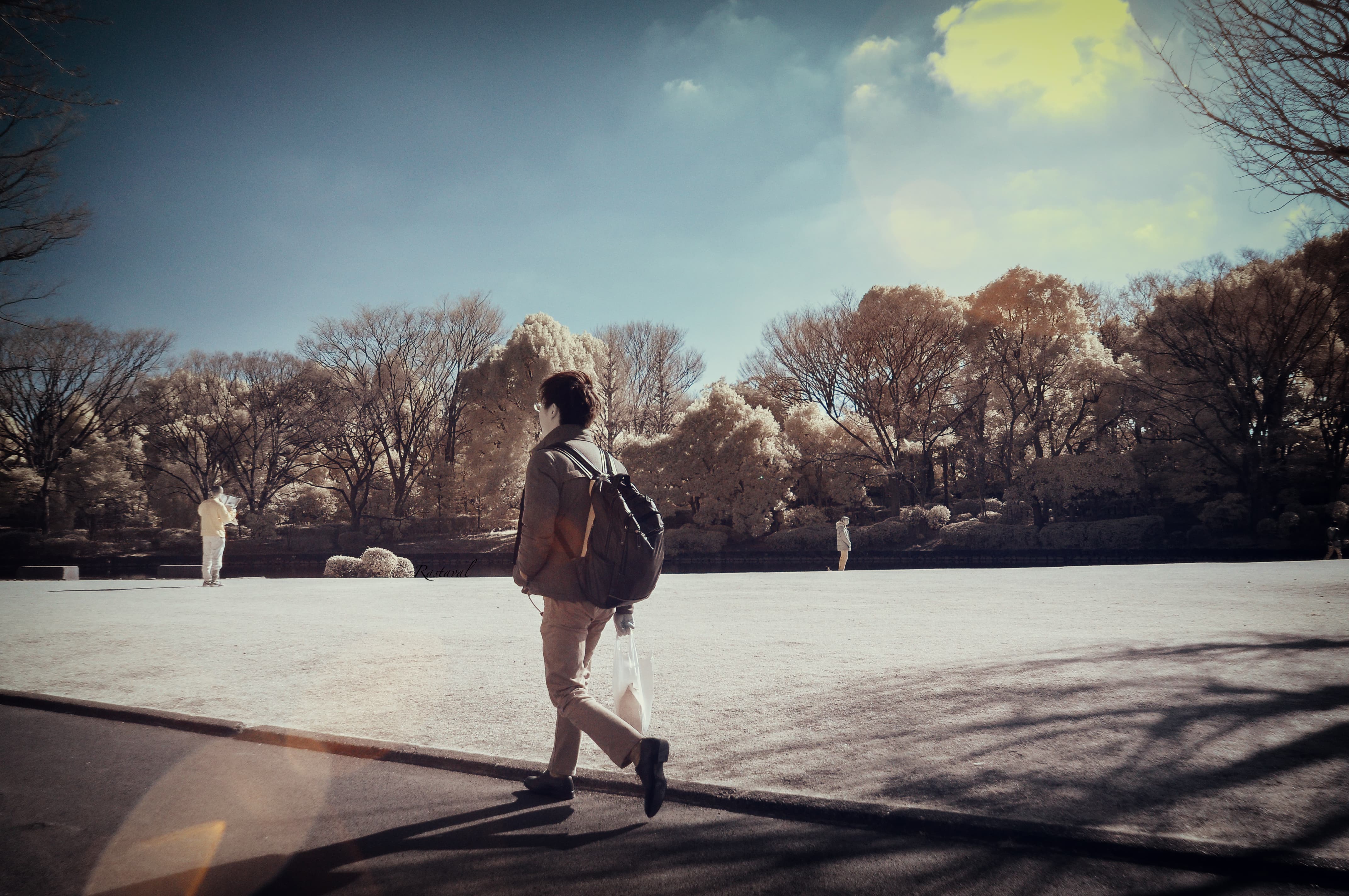 Infrared Photography